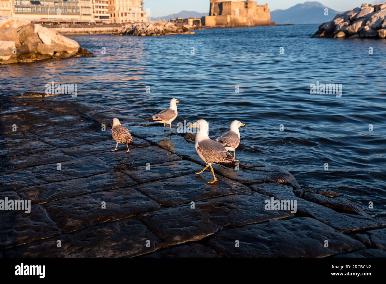 Castel dell'Ovo, lietrally, the Egg Castle is a seafront castle in ...
