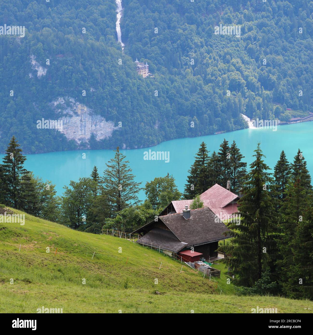 Turquoise Lake Brienz and Giessbach Falls seen from Planalp. Famous ...