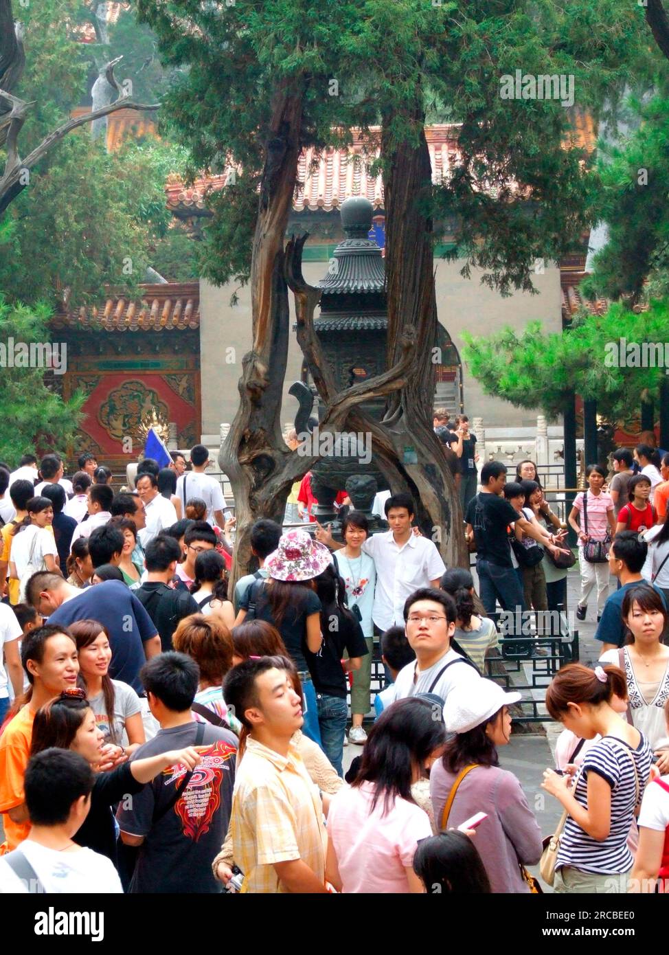 Visitors, Imperial Garden of the Palace Museum, Love Tree, Beijing ...