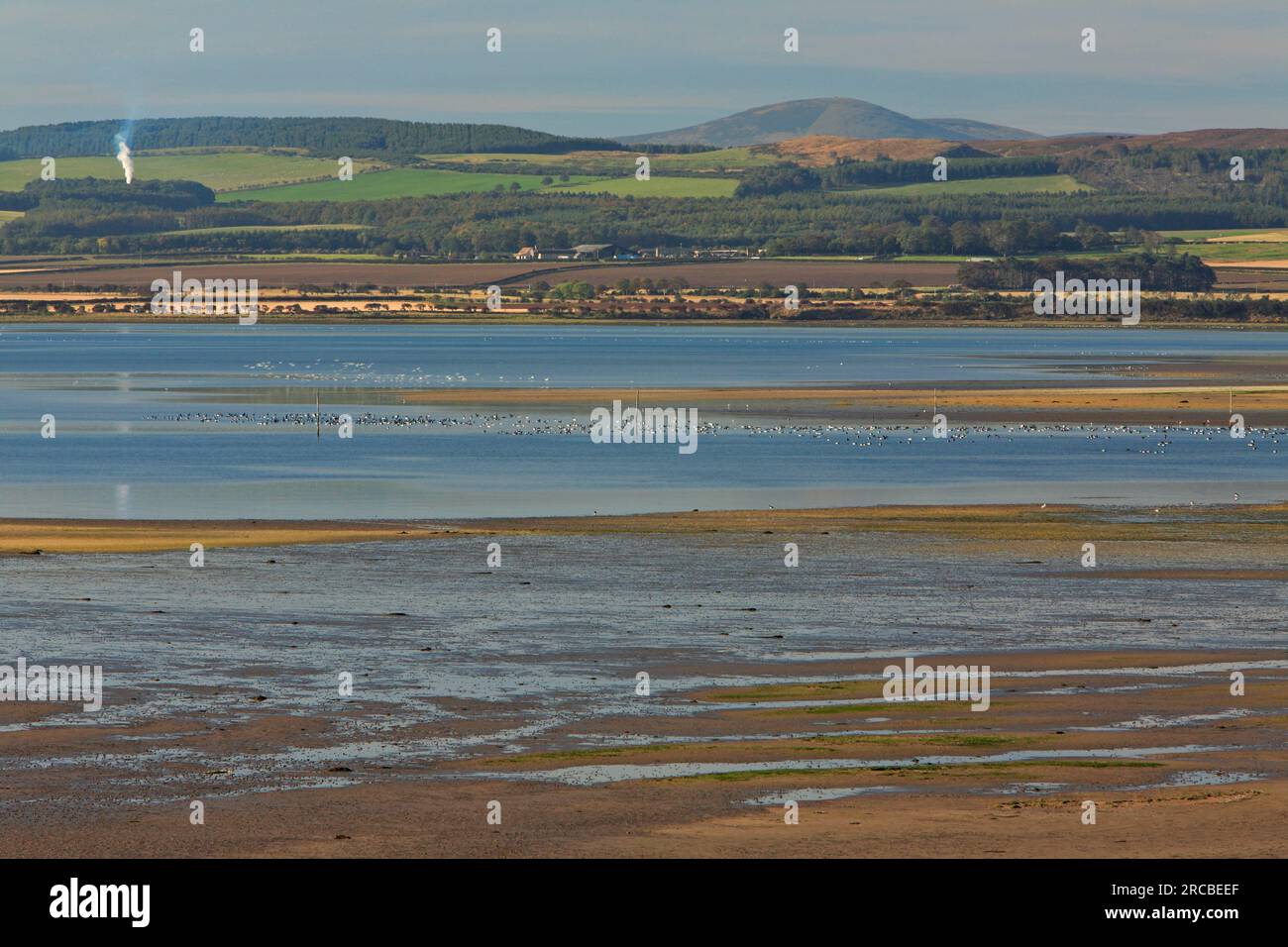 View from Holy Island, Cheviot, Northumberland national park, England ...