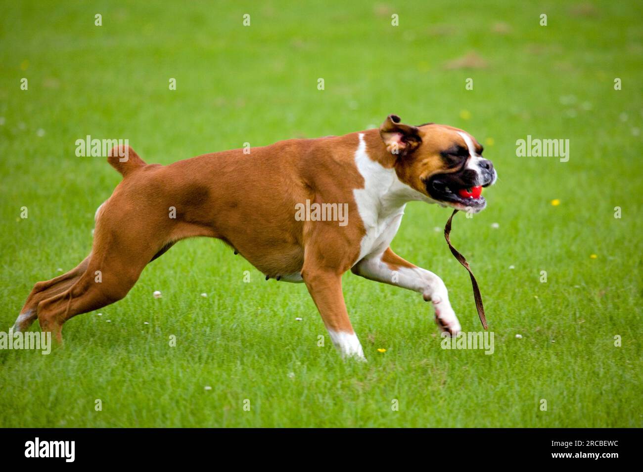 German toy car hi-res stock photography and images - Alamy