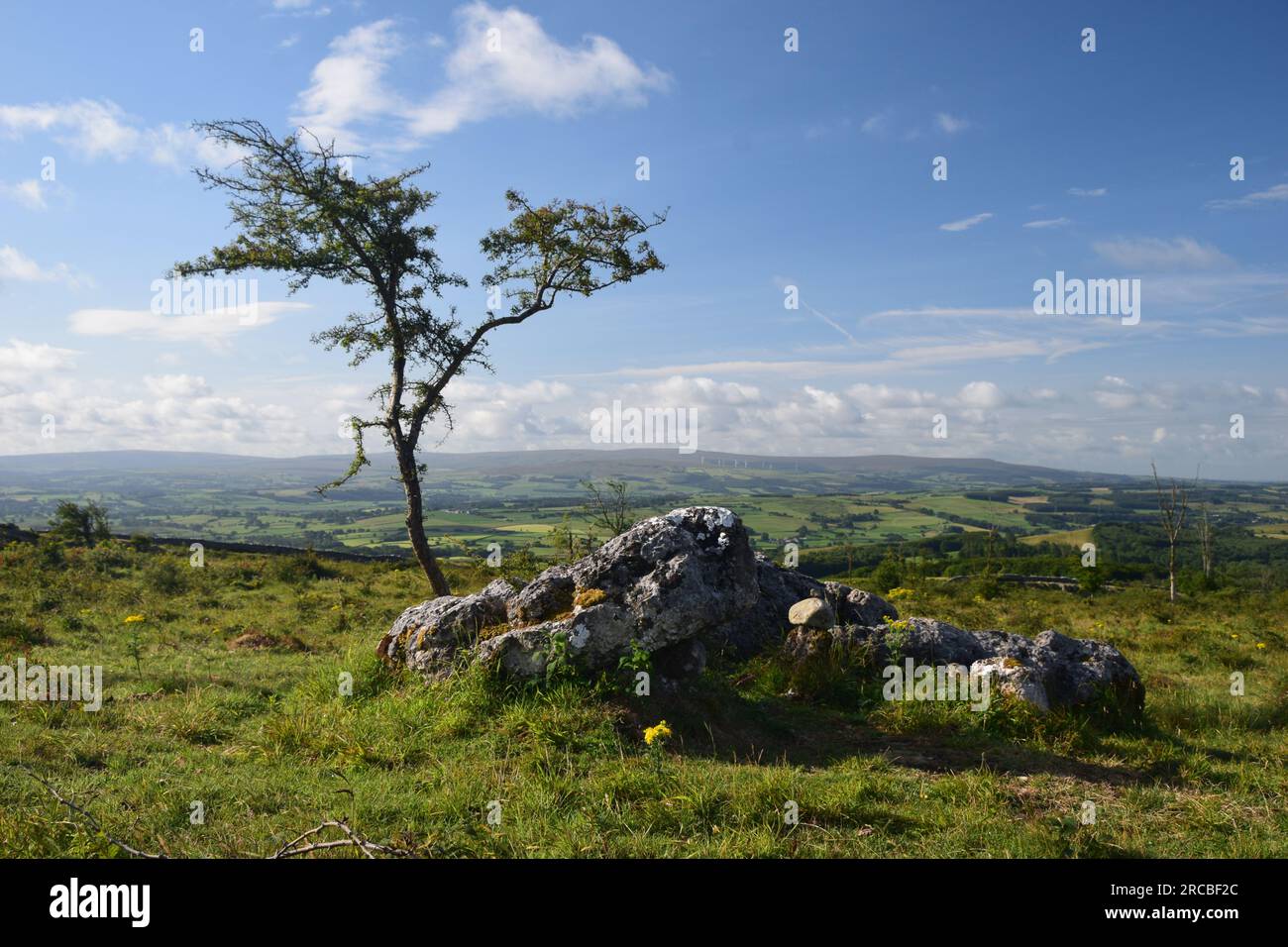 Clints and Grikes at Hutton Roof Carboniferous Limestone pavement Stock ...