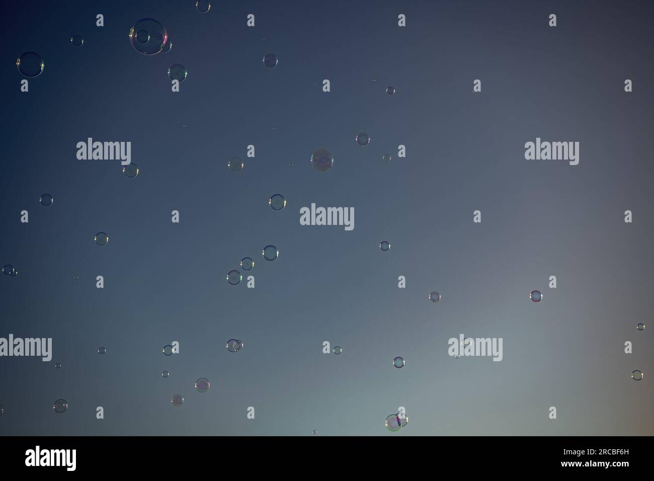 bubble sphere background in sky. transparent bubble sphere in sky ...