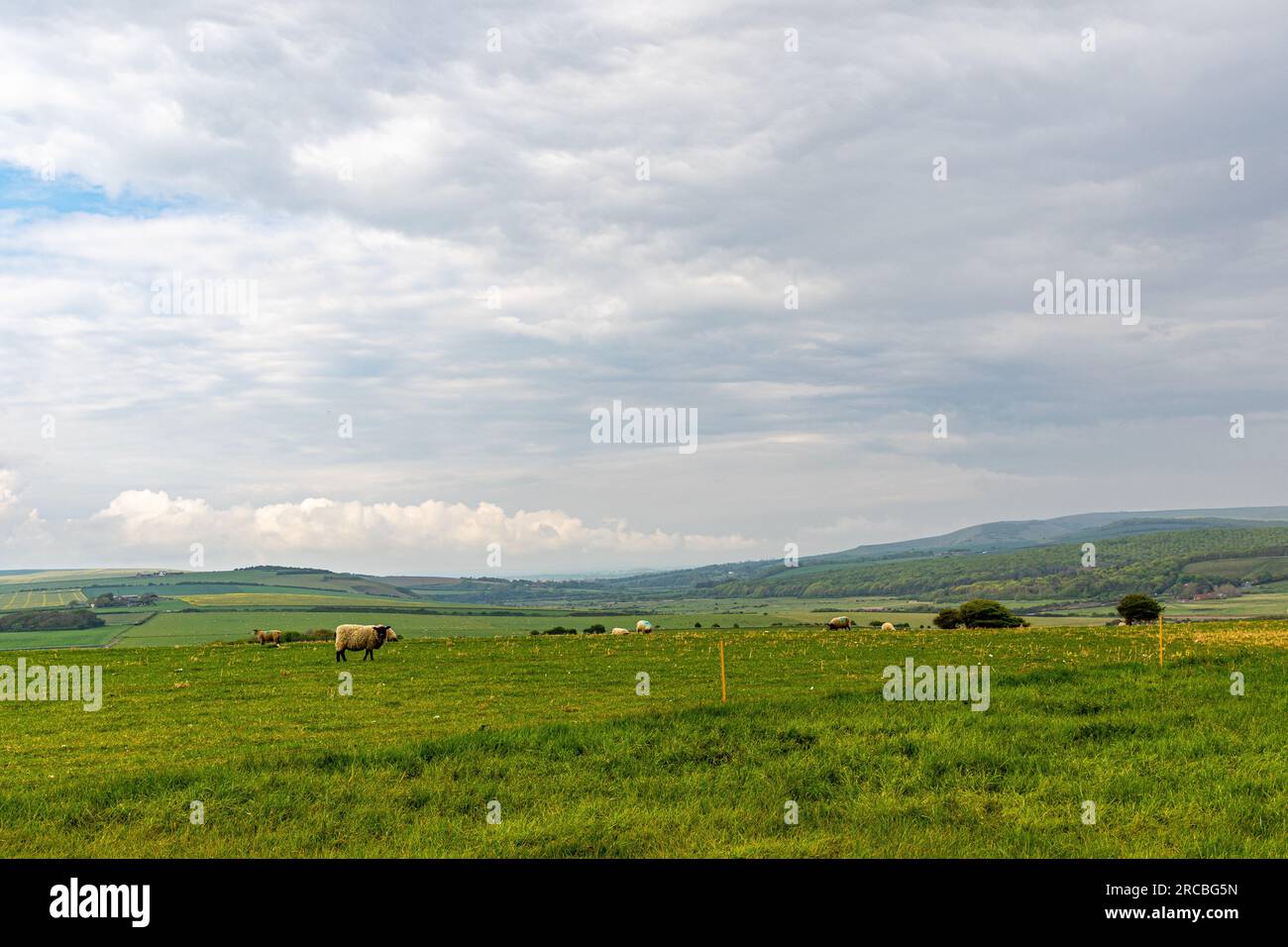 Beautiful view footage taken of the landscape during my trip to ...