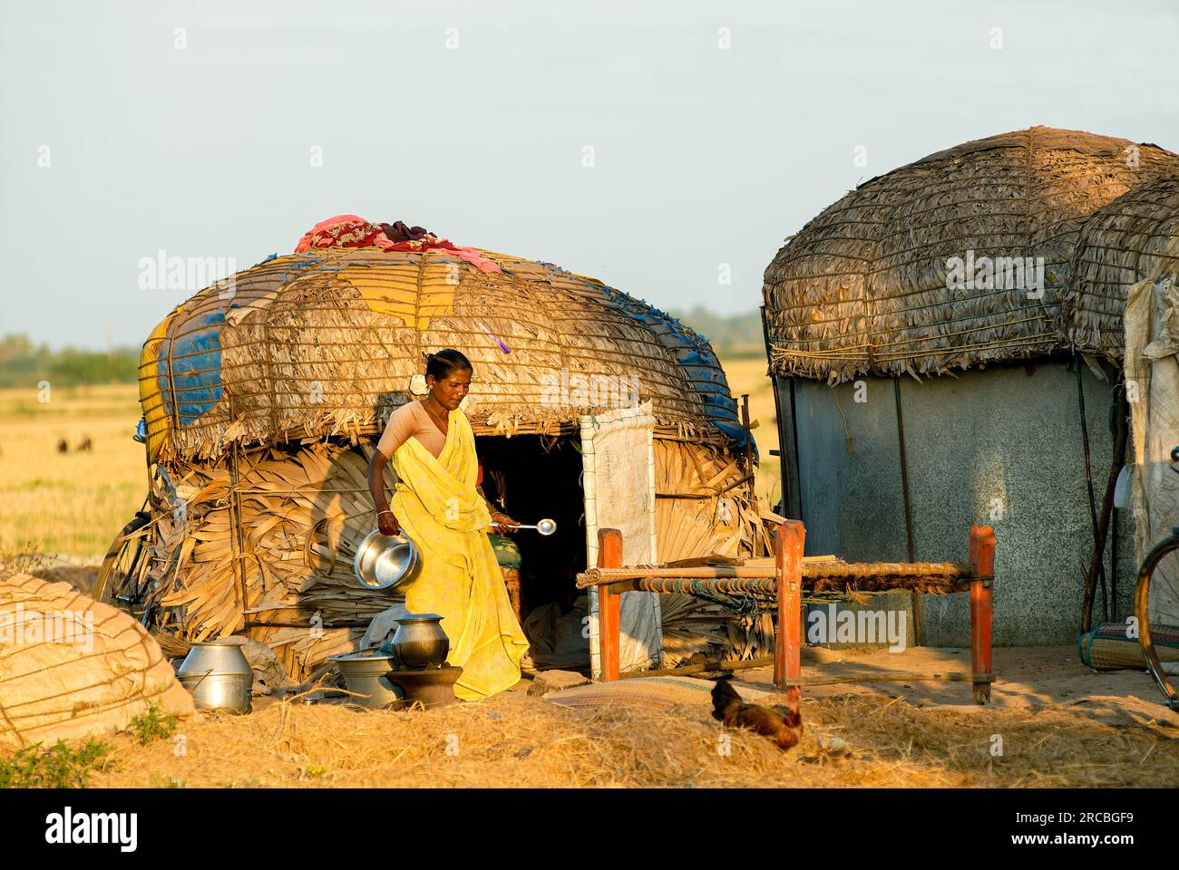 India tamil nadu woman cooking hi-res stock photography and images - Alamy