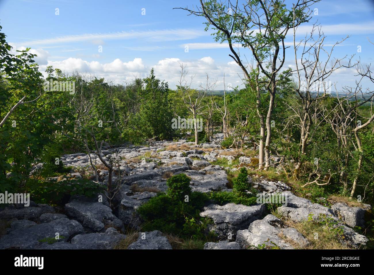 Clints and Grikes at Hutton Roof Carboniferous Limestone pavement Stock ...