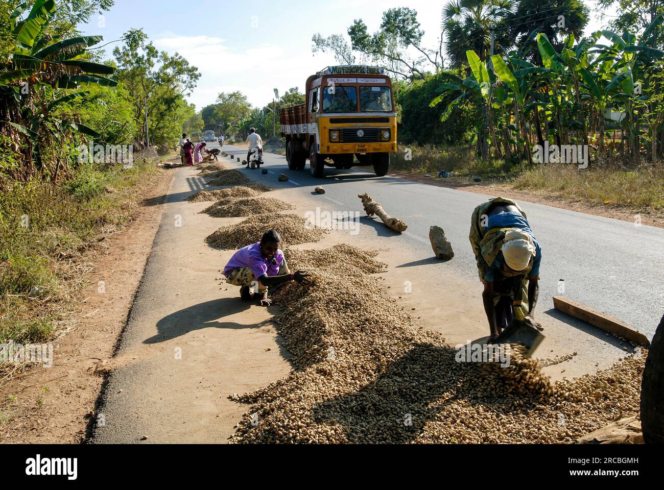 Drying groundnuts hi-res stock photography and images - Alamy