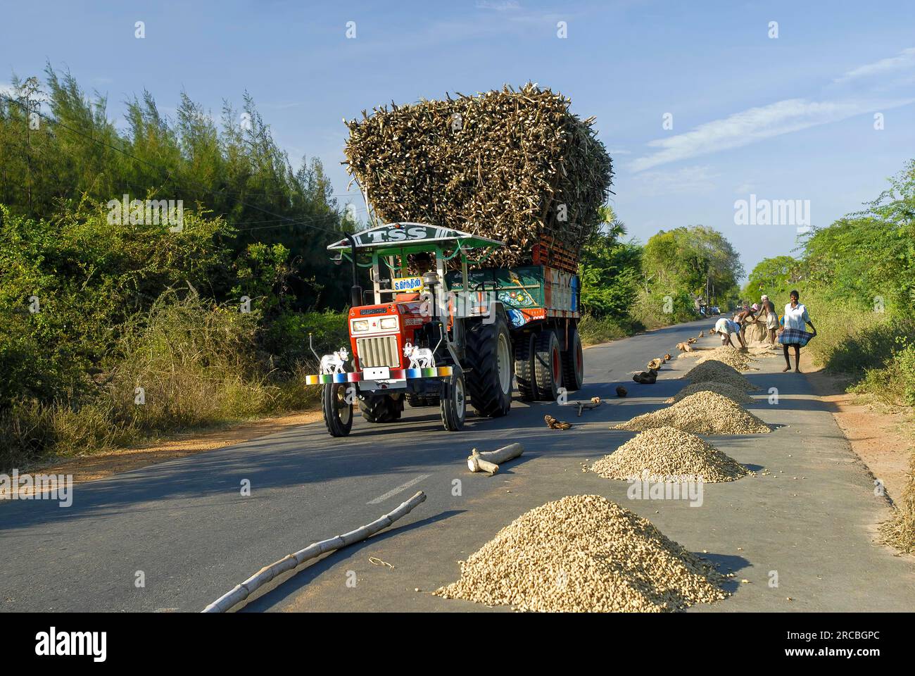 A tractor transporting over loaded Sugarcane near Neyveli, Vadalur ...