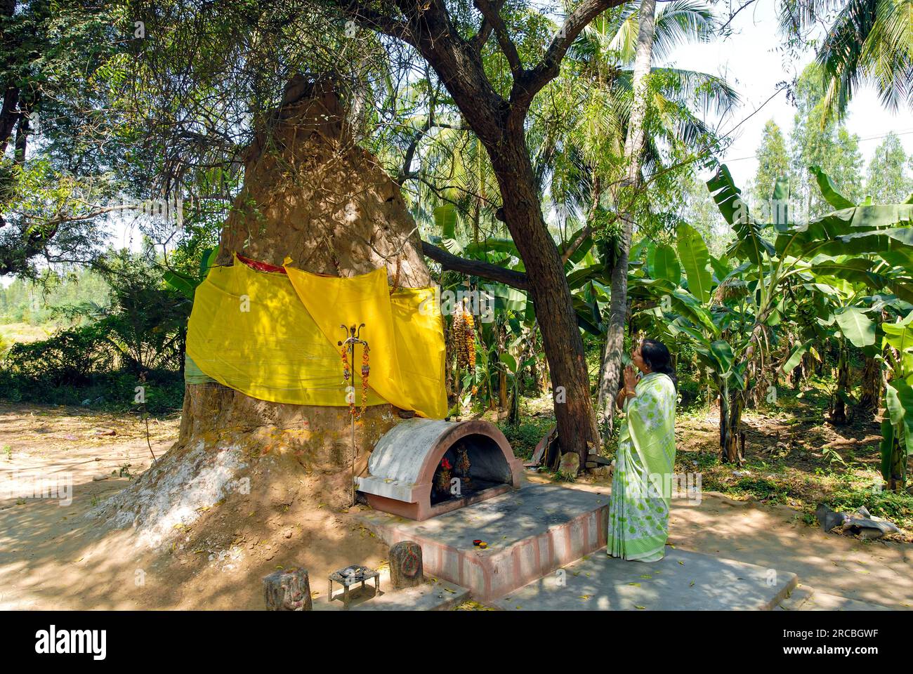 India snake woman hi-res stock photography and images - Alamy