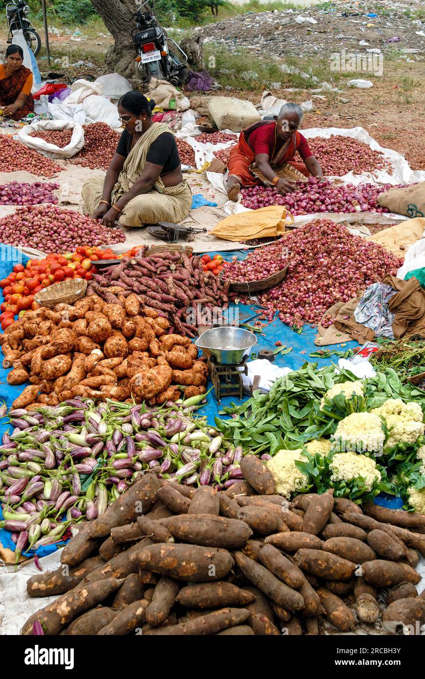 Groceries shop at Kundadam near Dharapuram Tamil Nadu, South India ...