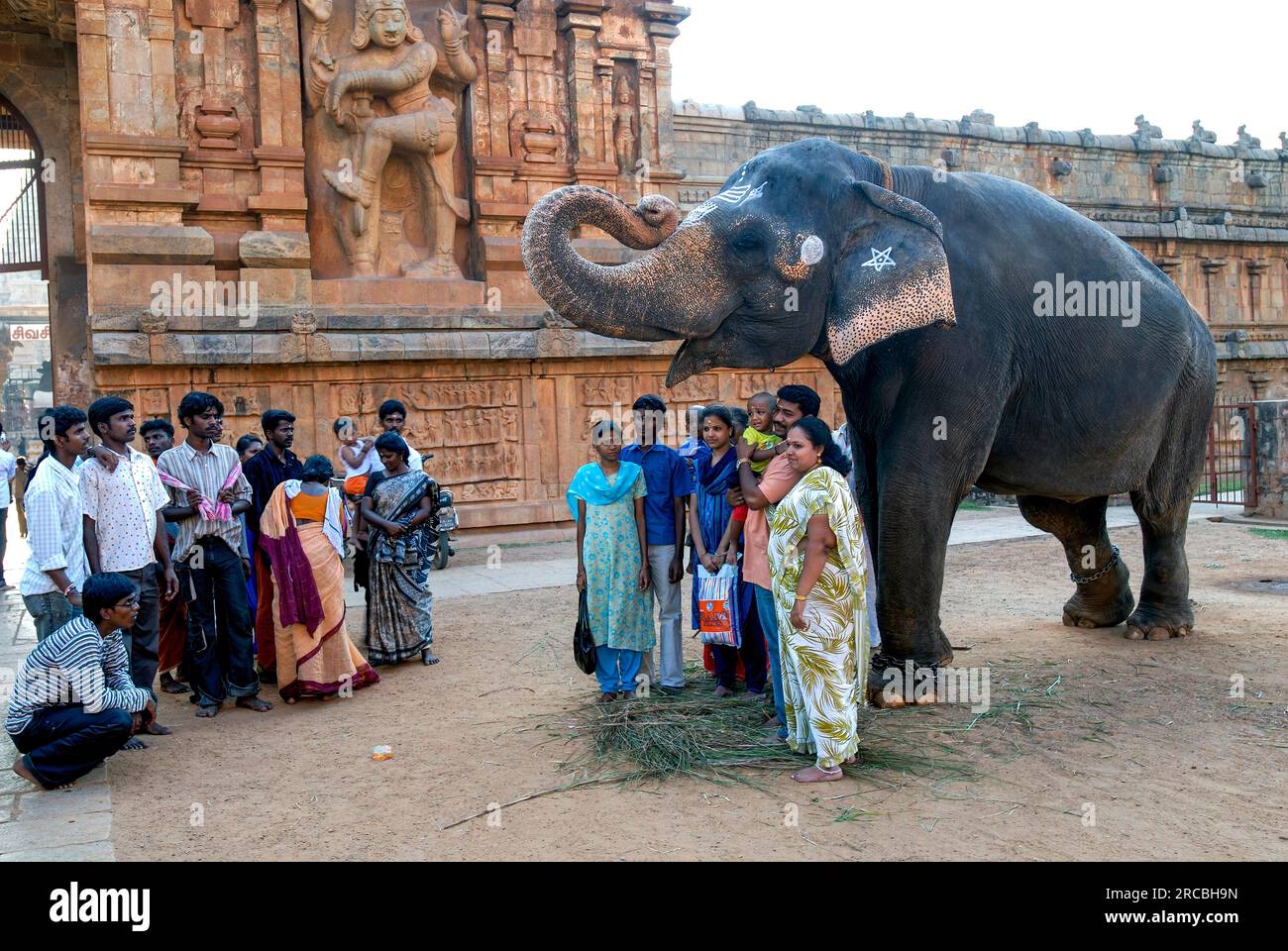 Tourists receiving blessings from the temple elephant, Brihadisvara ...