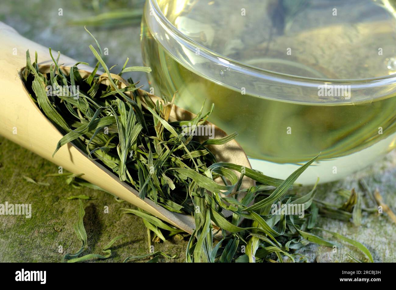 Cup of bamboo tea, bamboo tea Stock Photo - Alamy