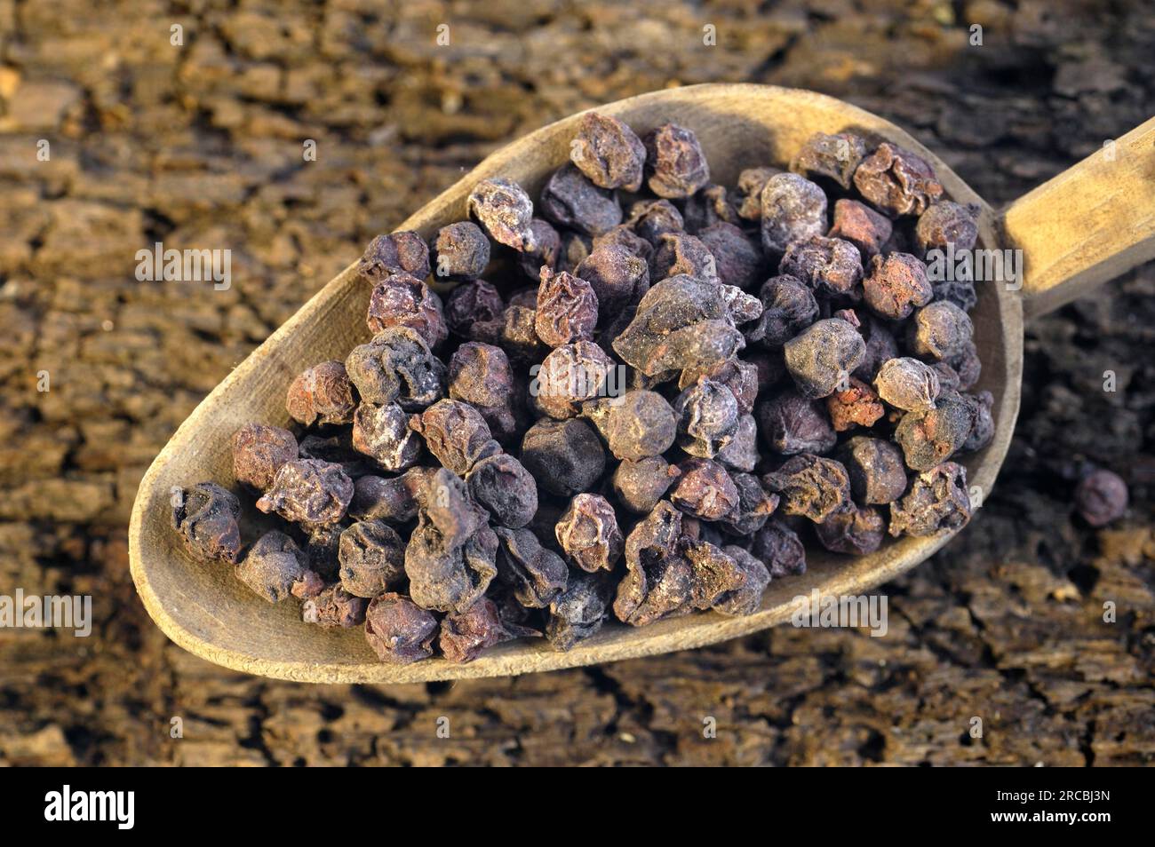 Schisandra, berry berry, Chinese split berry, five-flavour fruit, five ...