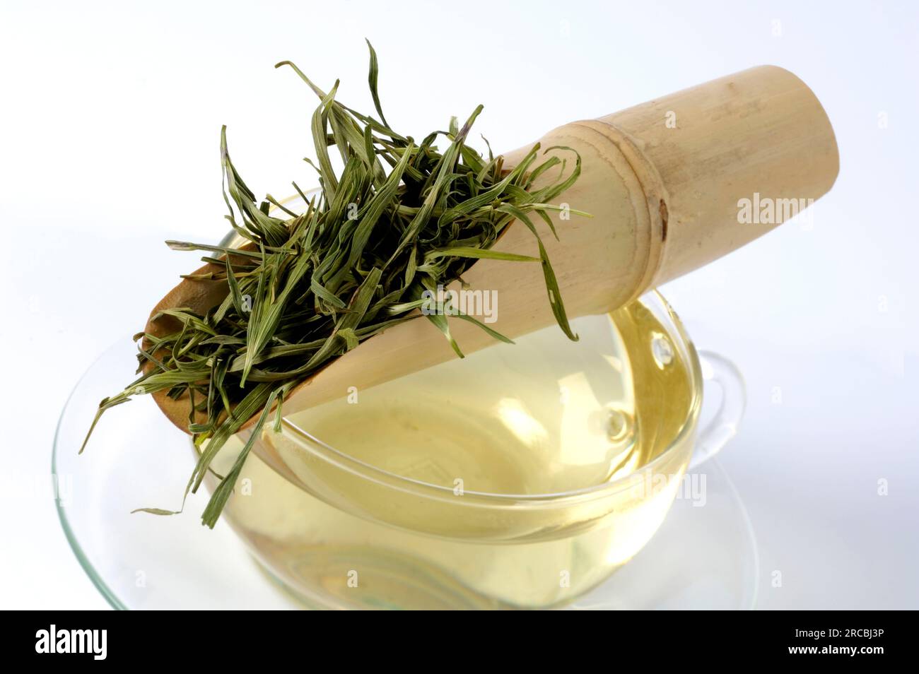 Cup of bamboo tea, bamboo tea Stock Photo - Alamy