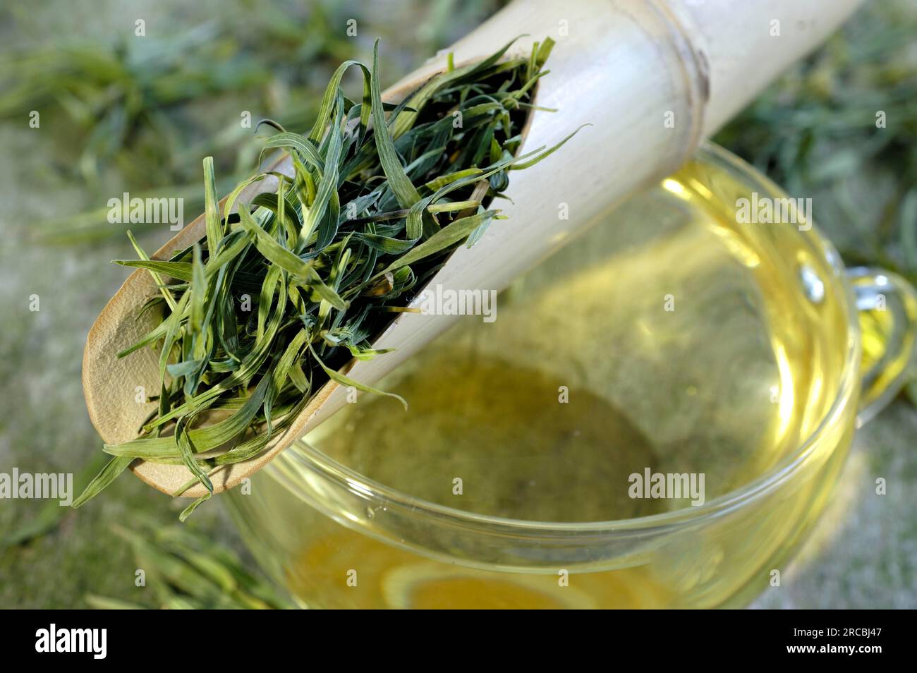 Cup of bamboo tea, bamboo tea Stock Photo - Alamy