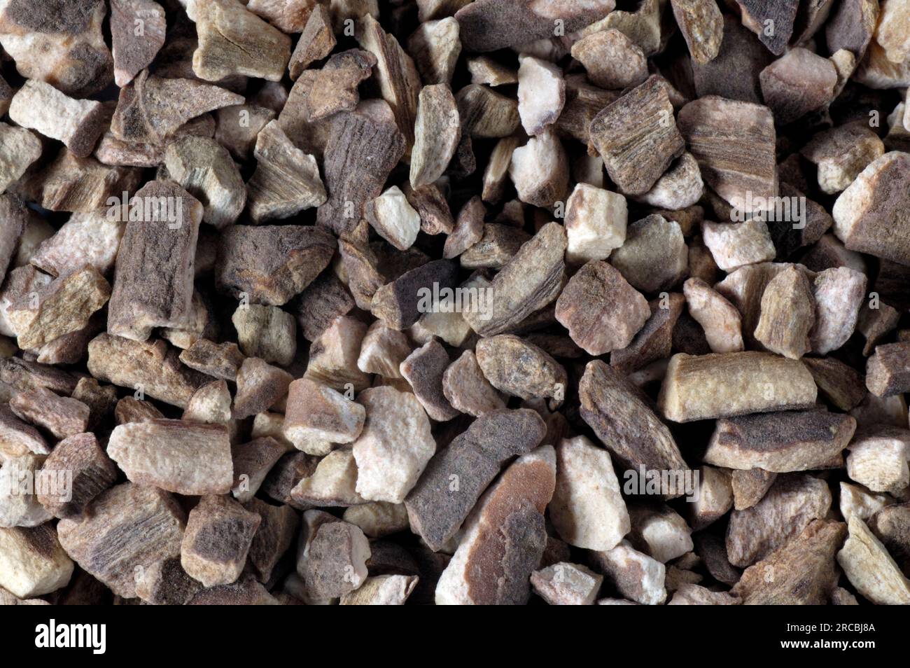 Shrub peony root bark (Moutan radicis cortex), shrub peony, shrub peony ...
