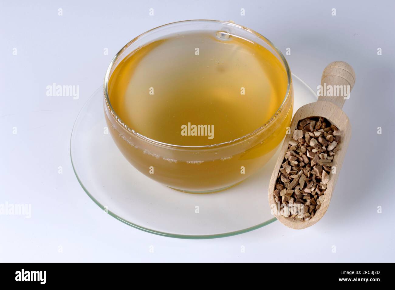 Cup of tea from shrub peony root bark (Moutan radicis cortex), shrub ...