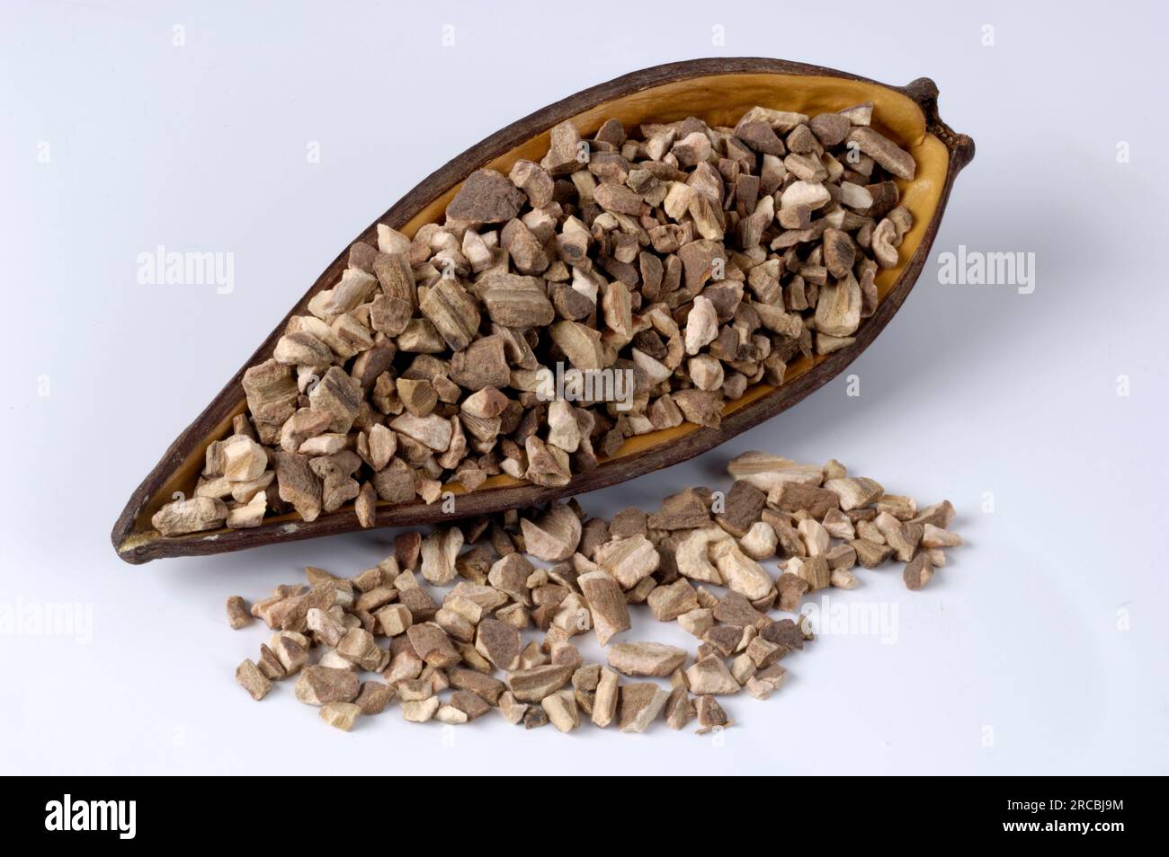 Shrub peony root bark (Moutan radicis cortex), shrub peony, shrub peony ...