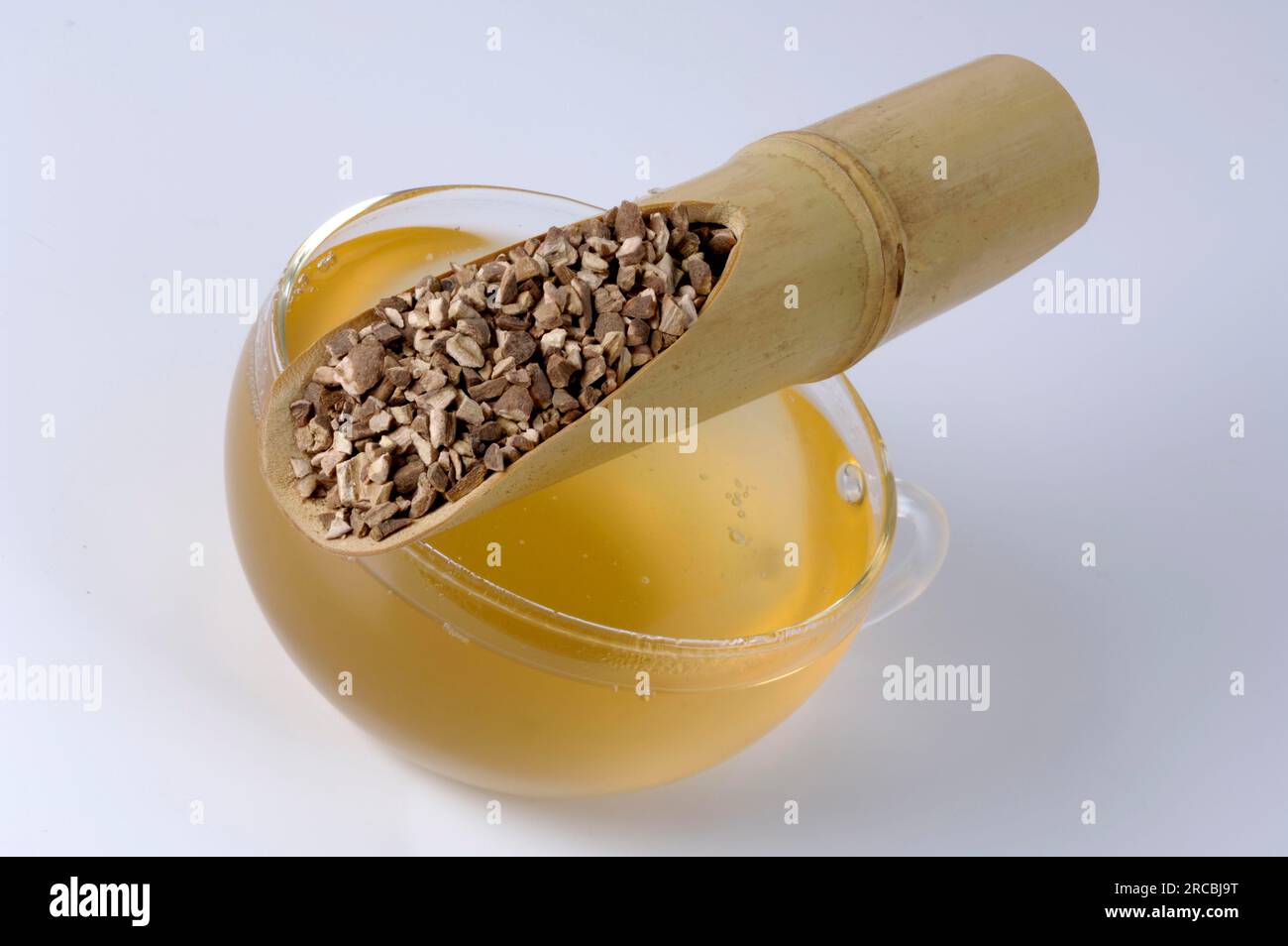 Cup of tea from shrub peony root bark (Moutan radicis cortex), shrub ...