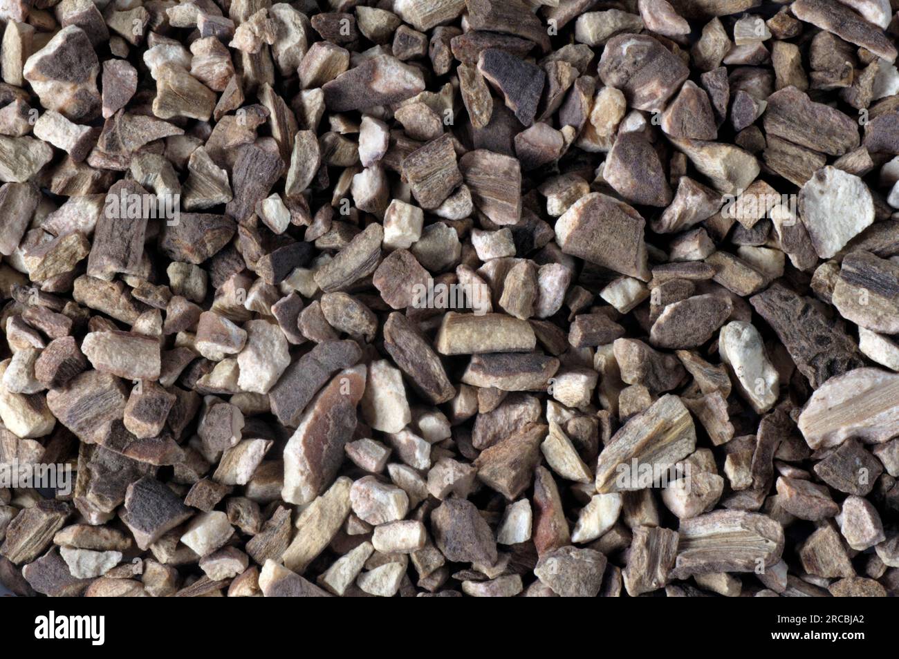 Shrub peony root bark (Moutan radicis cortex), shrub peony, shrub peony ...