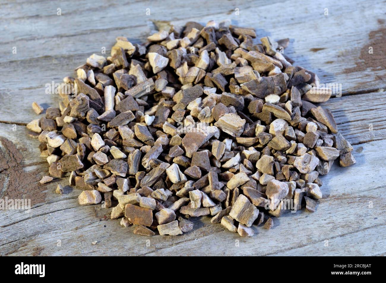 Shrub peony root bark (Moutan radicis cortex), shrub peony, shrub peony ...