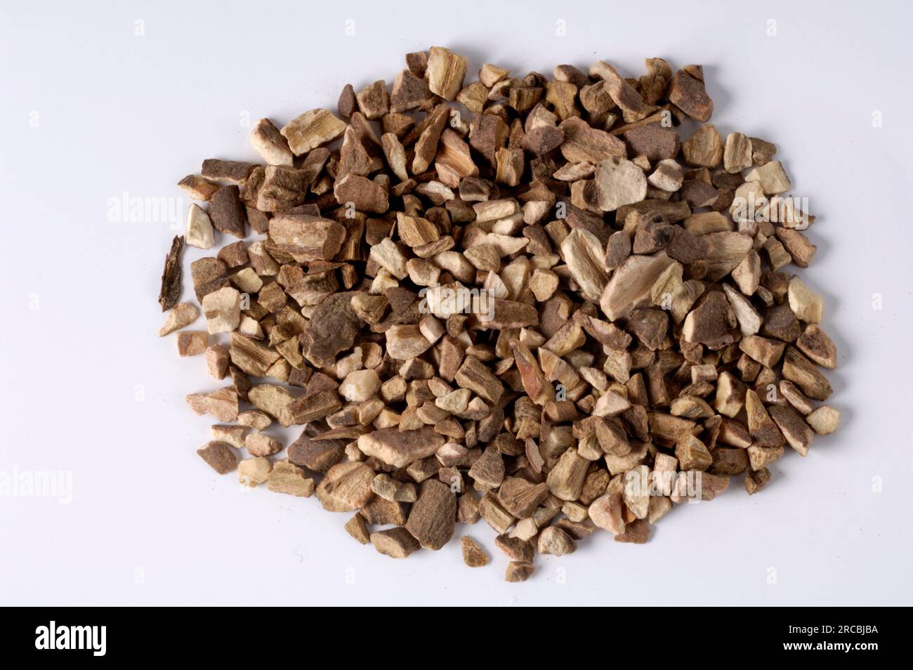 Shrub peony root bark (Moutan radicis cortex), shrub peony, shrub peony ...