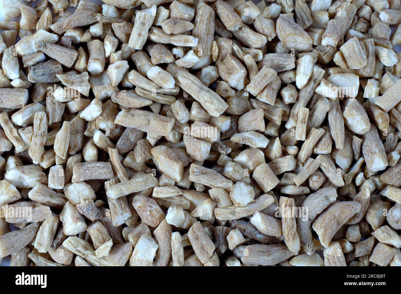 Heterophylly falsestarwort root (Pseudostellariae radix Stock Photo - Alamy