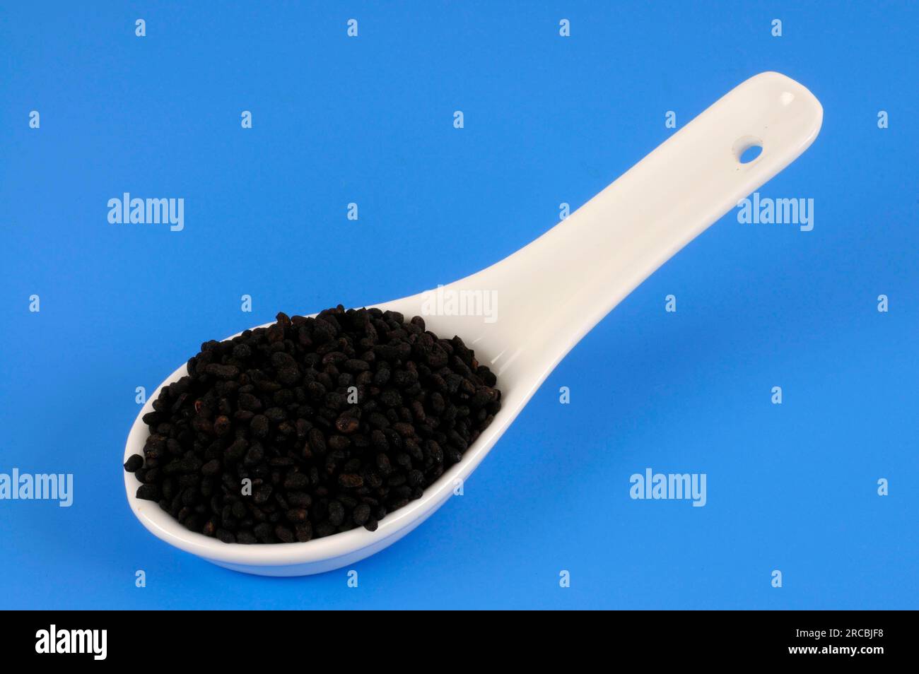 Fruits of the Malay chickpea (Psoraleae fructus Stock Photo - Alamy