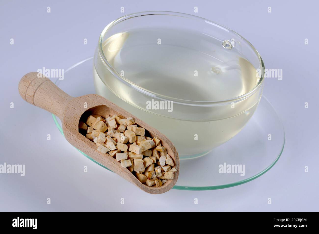 Cup with snake gourd root tea (Trichosanthis Radix), snake gourd root ...