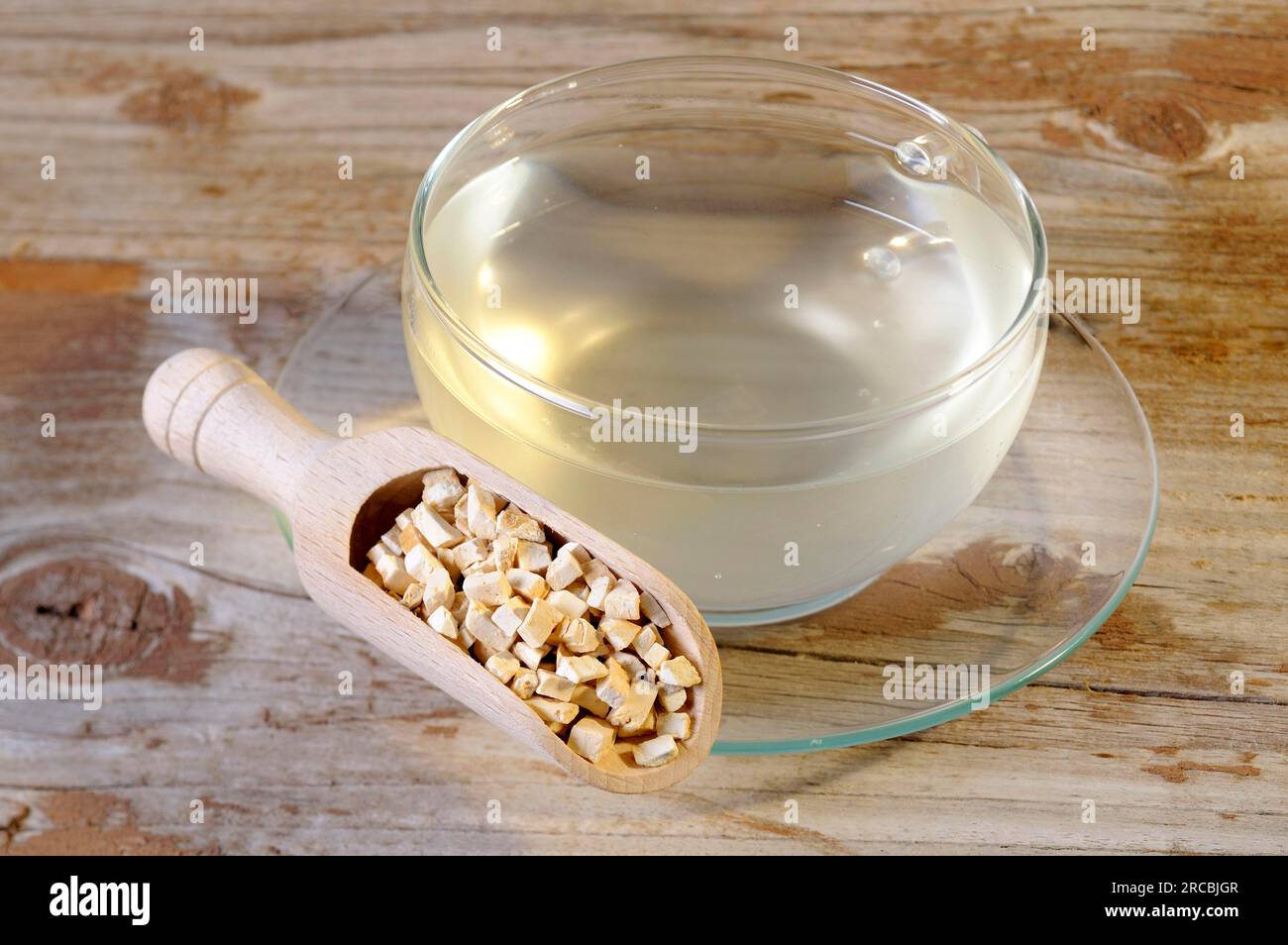 Cup with snake gourd root tea (Trichosanthis Radix), snake gourd root ...