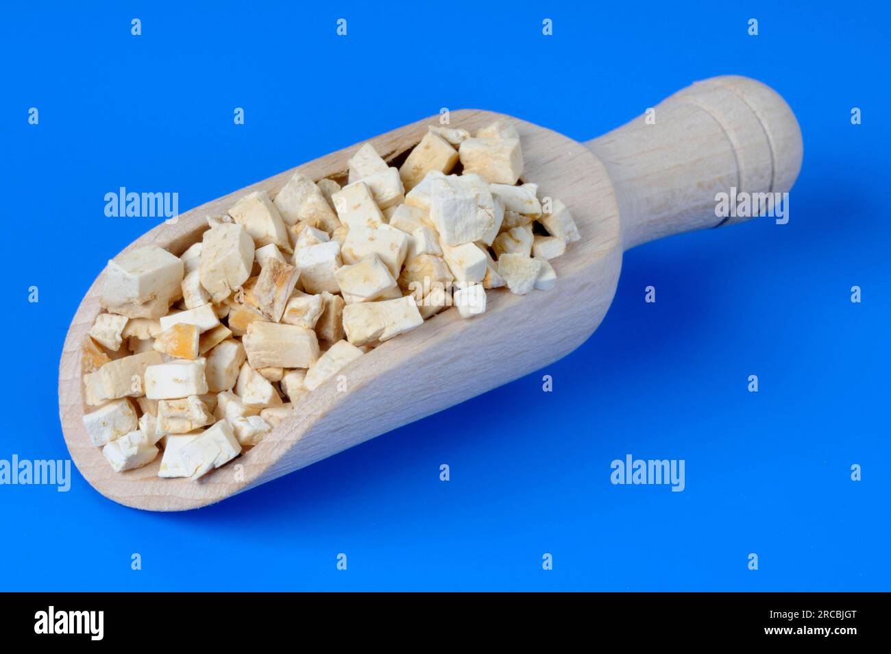 Snake gourd root (Trichosanthis Radix), cutout, object Stock Photo - Alamy