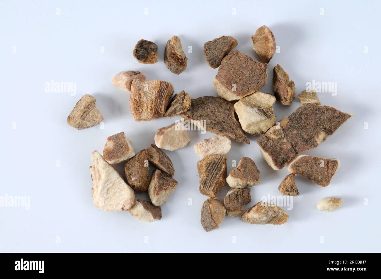 Shrub peony root bark (Moutan radicis cortex), shrub peony, shrub peony ...