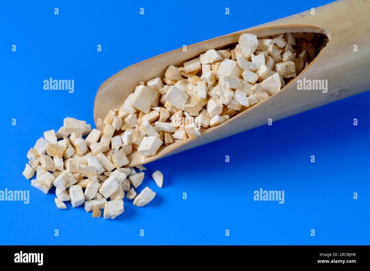 Snake gourd root (Trichosanthis Radix Stock Photo - Alamy