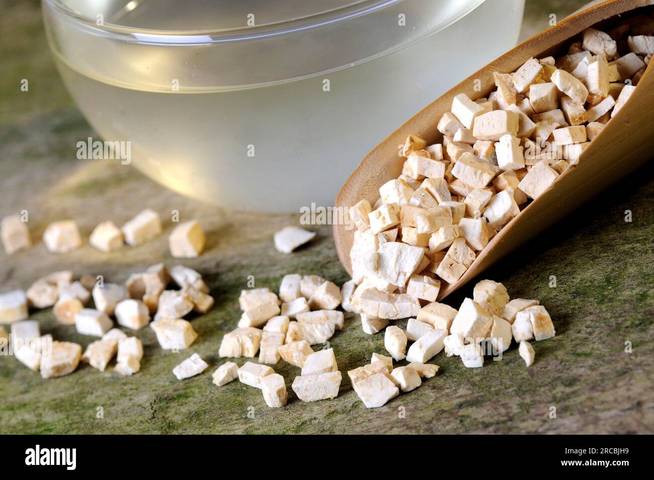 Cup with snake gourd root tea (Trichosanthis Radix), snake gourd root ...
