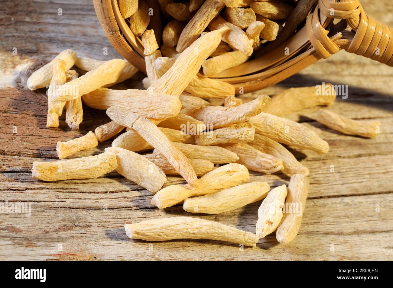 Ophiopogonis radix hi-res stock photography and images - Alamy