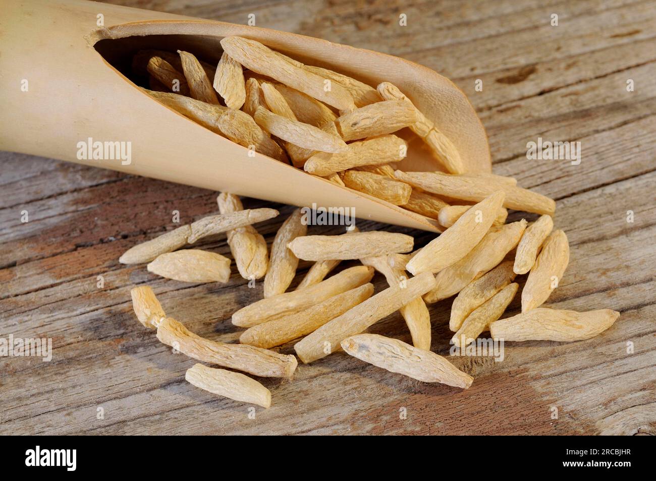 Snake beard root (Ophiopogonis Radix Stock Photo - Alamy