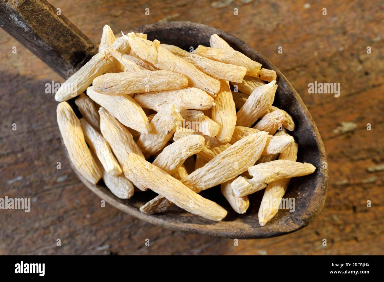 Snake beard root (Ophiopogonis Radix Stock Photo - Alamy