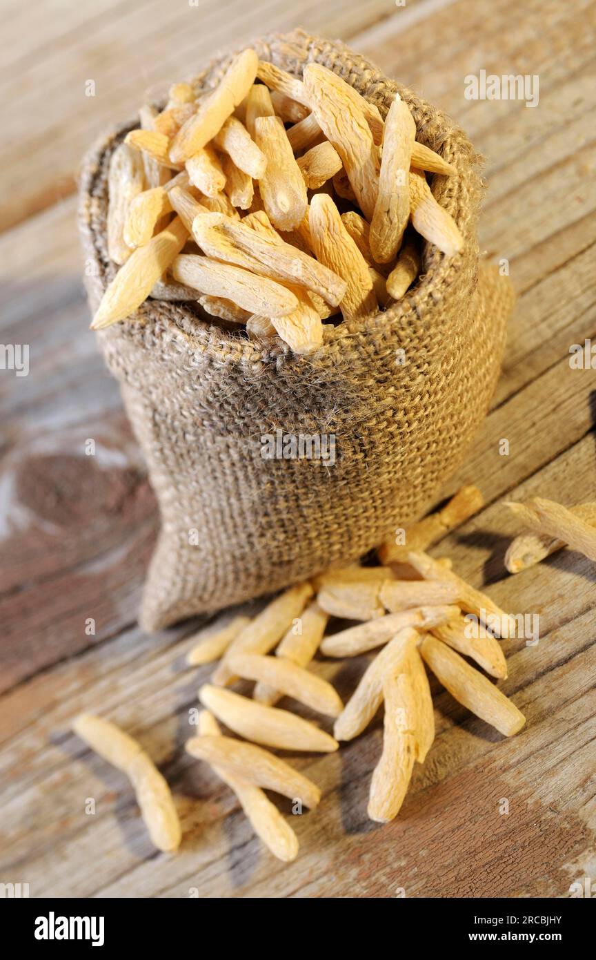 Snake beard root (Ophiopogonis Radix Stock Photo - Alamy