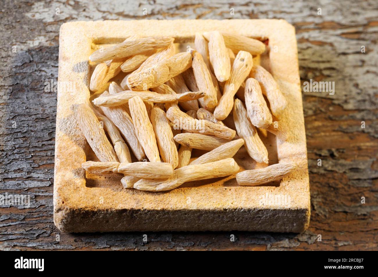 Snake beard root (Ophiopogonis Radix Stock Photo - Alamy