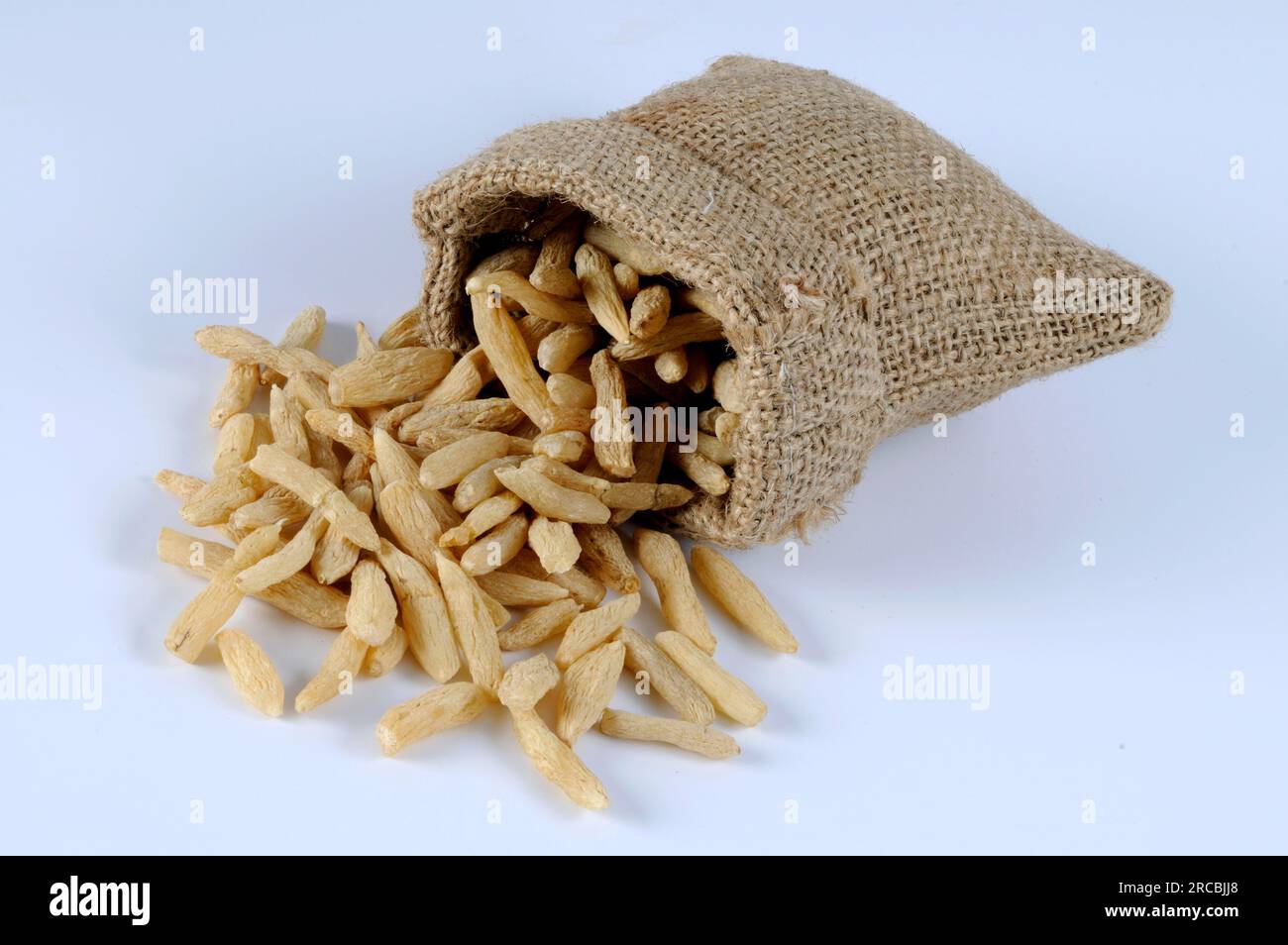 Snake's beard root (Ophiopogonis Radix), freeze frame, object Stock ...