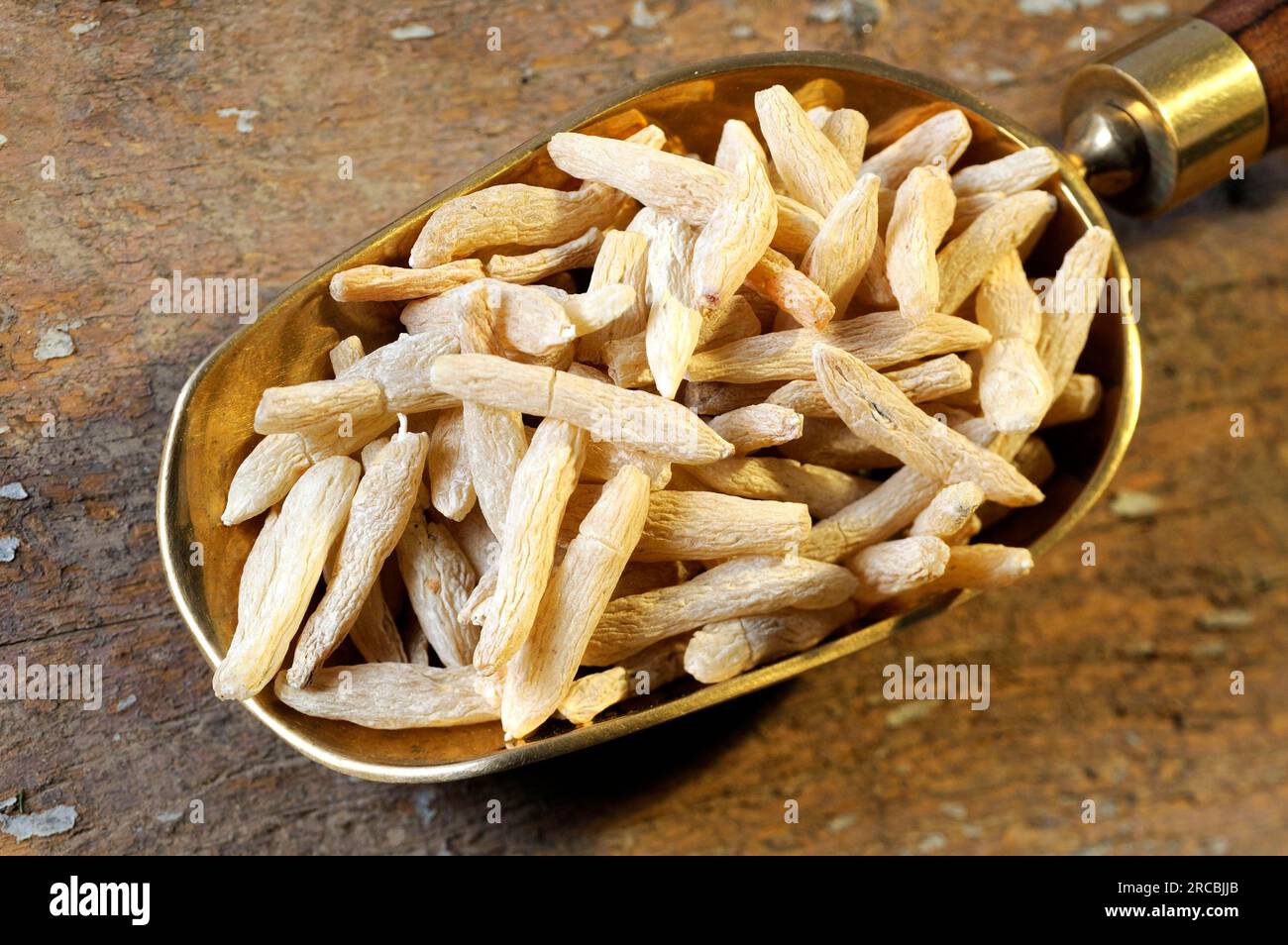 Snake beard root (Ophiopogonis Radix Stock Photo - Alamy
