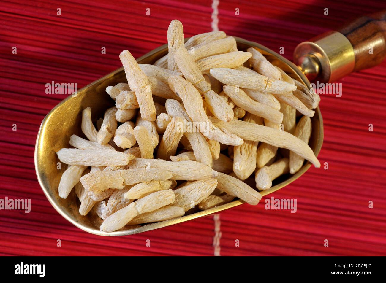 Snake beard root (Ophiopogonis Radix Stock Photo - Alamy