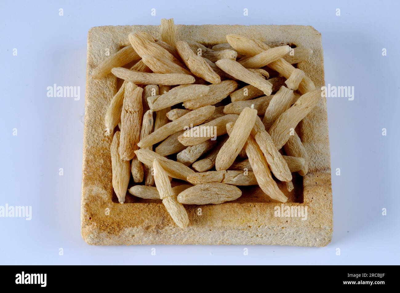 Snake's beard root (Ophiopogonis Radix), freeze frame, object Stock ...