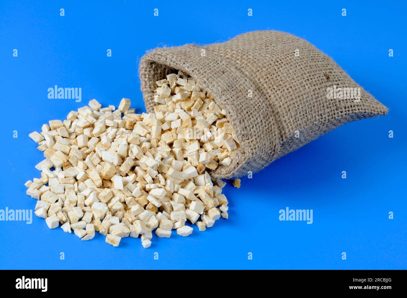 Snake gourd root (Trichosanthis Radix), cutout, object Stock Photo - Alamy