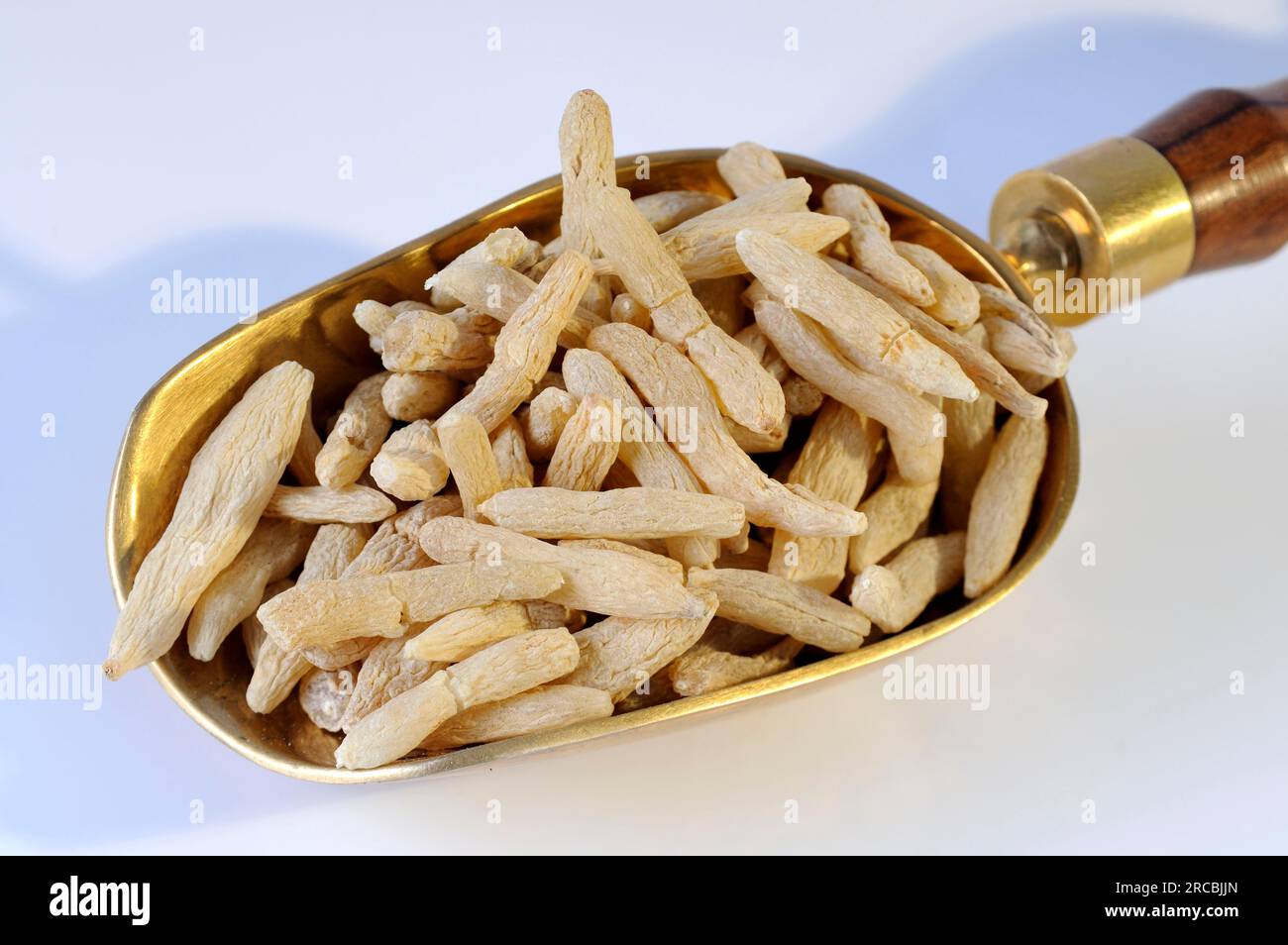 Snake beard root (Ophiopogonis Radix Stock Photo - Alamy