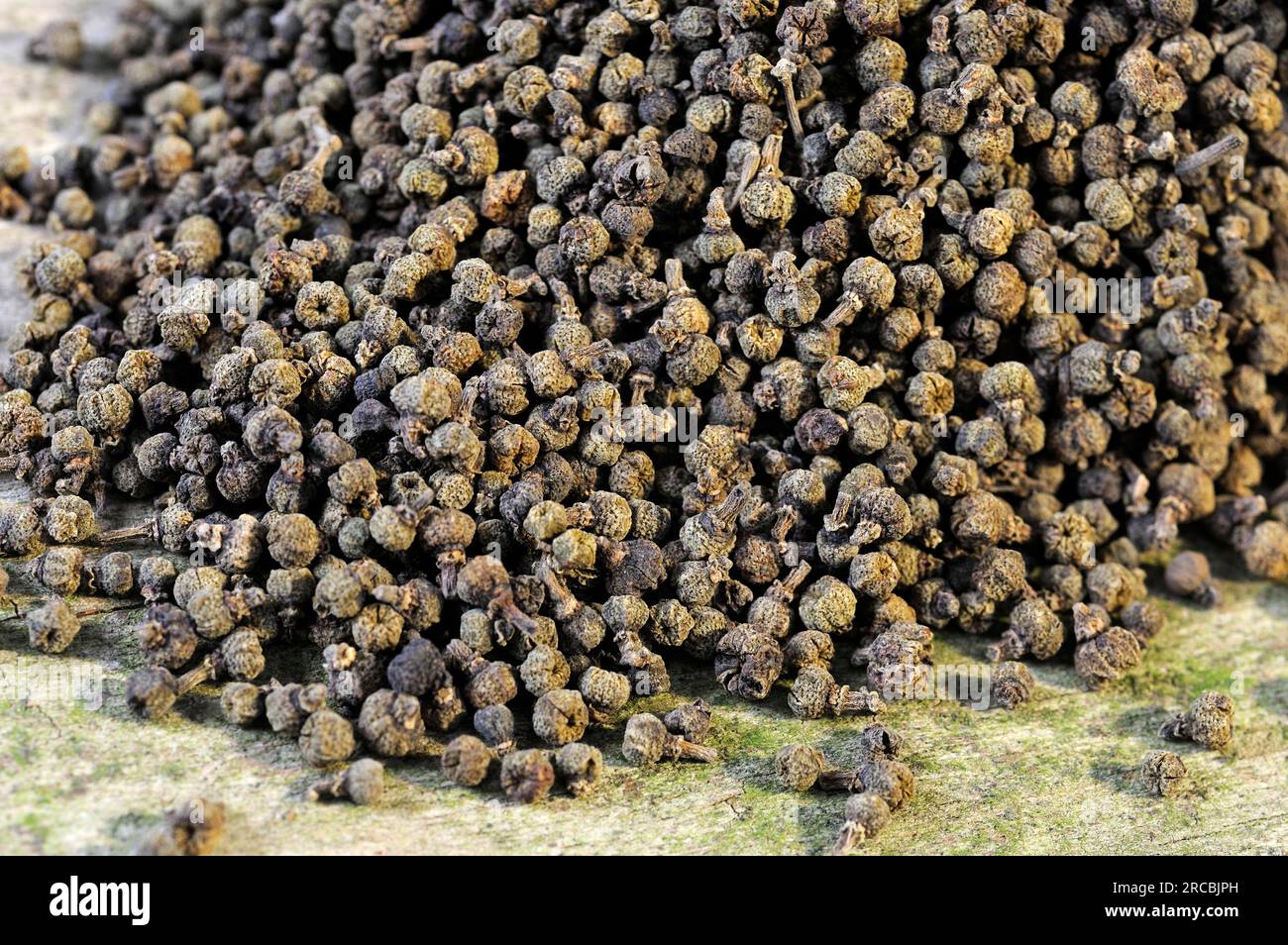 Evodiae fructus hi-res stock photography and images - Alamy