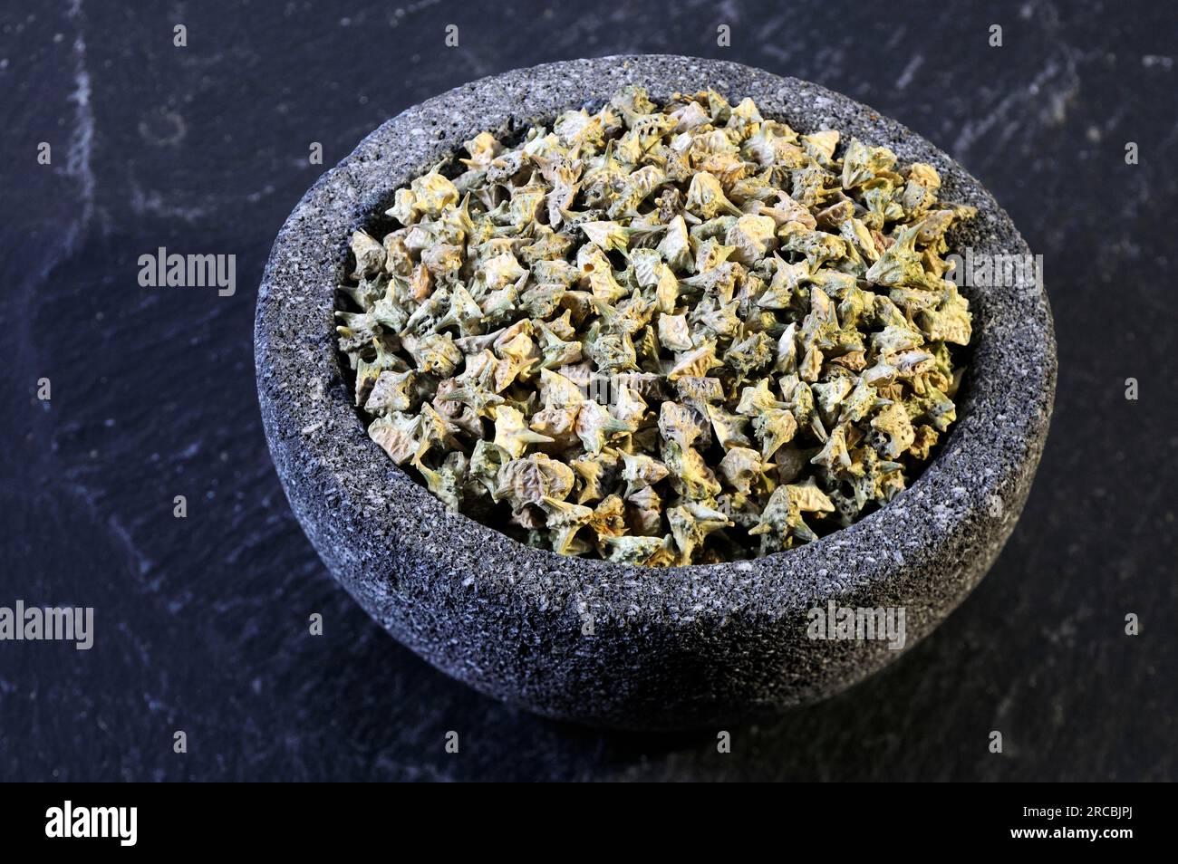 Burzel thorn fruit hi-res stock photography and images - Alamy