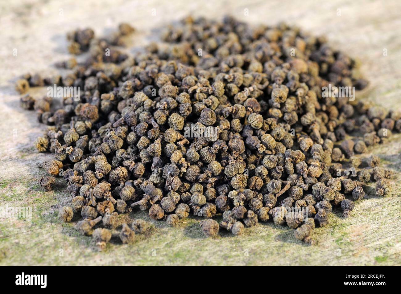 Evodiae fructus hi-res stock photography and images - Alamy