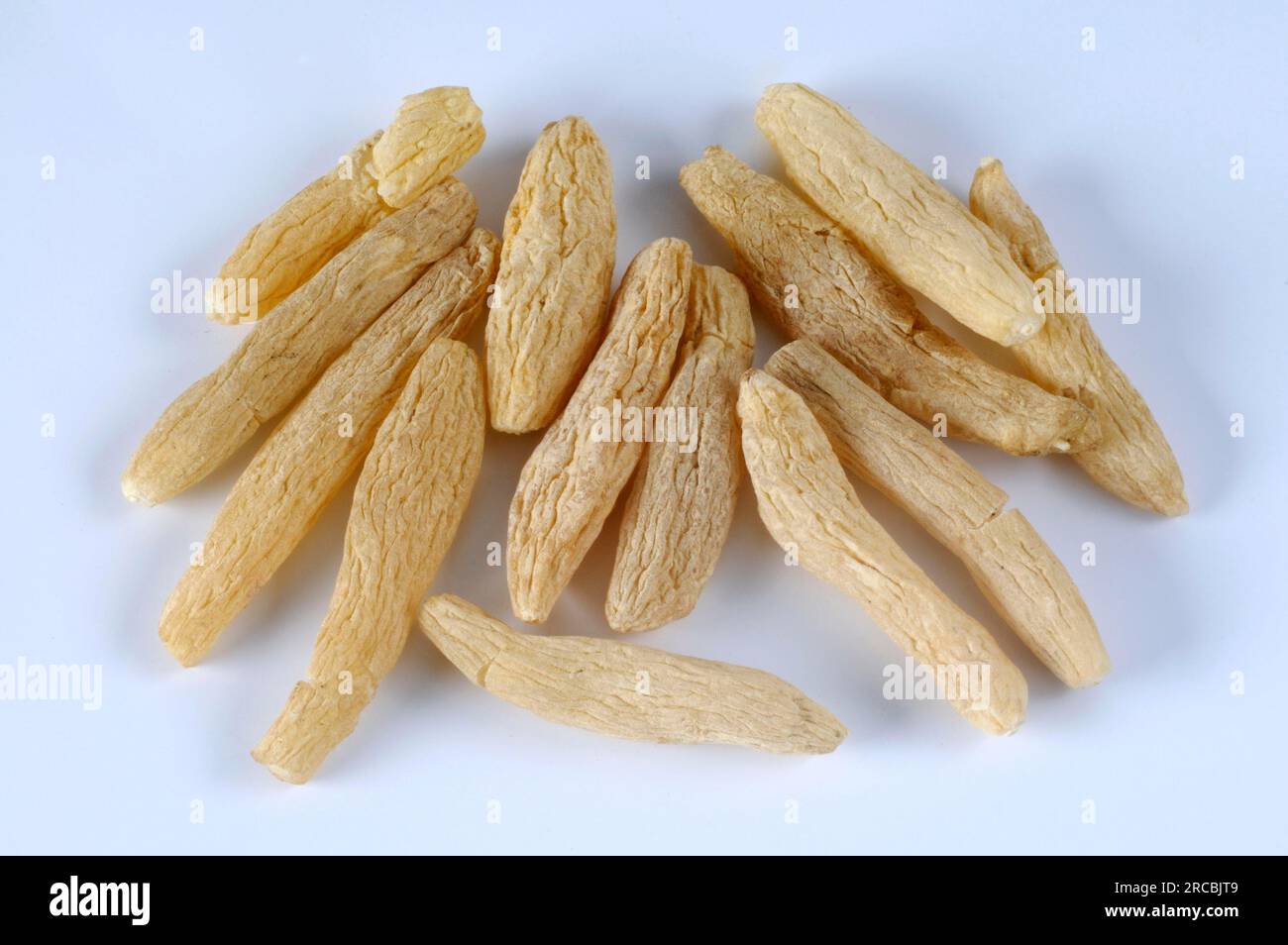 Snake's beard root (Ophiopogonis Radix), freeze frame, object Stock ...