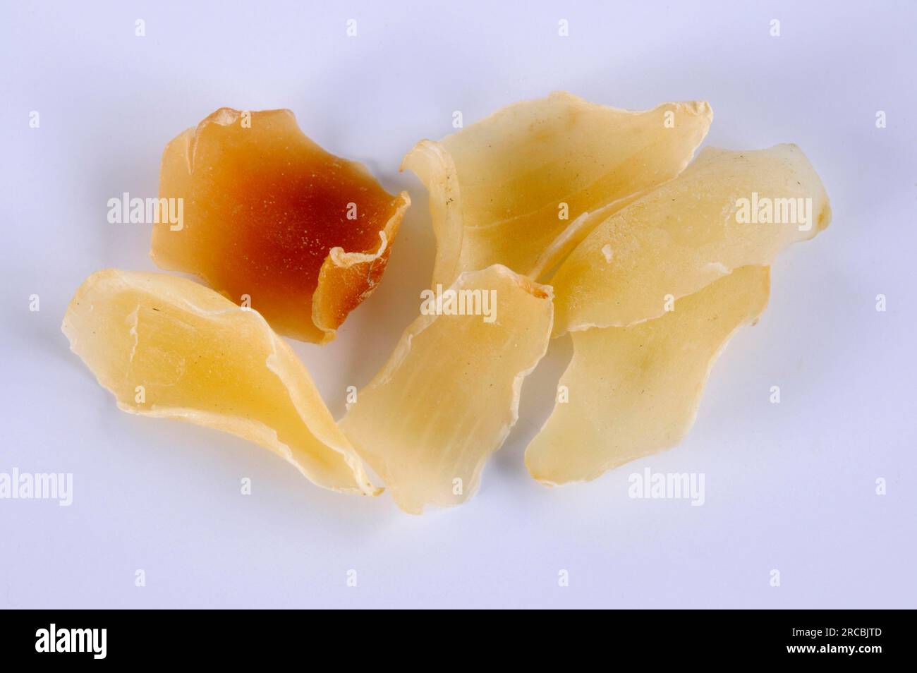 Lily bulb (Lilii Bulbus), cut out, object Stock Photo - Alamy